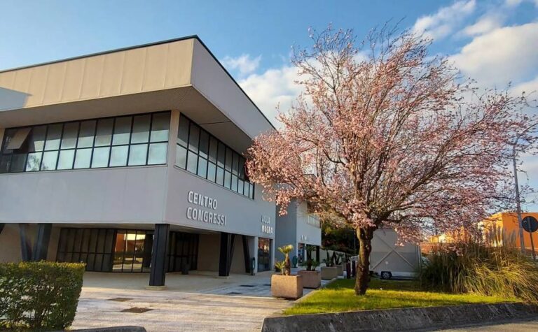 Unical, parte la fase 2 delle iscrizioni ai corsi triennali e ...